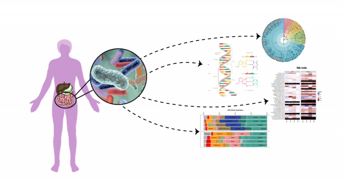 DFI Platforms and Resources | Duchossois Family Institute | The ...